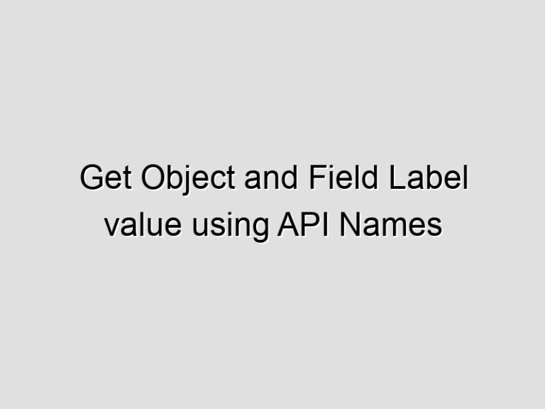 get-object-and-field-label-value-using-api-names-hamza-siddiqui