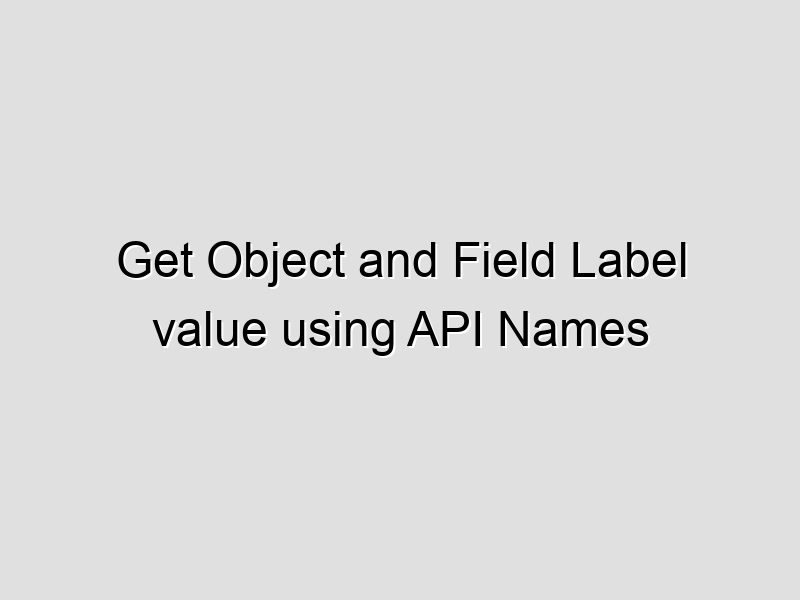 Get Object And Field Label Value Using API Names M Hamza Siddiqui